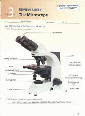 AP - Lab Ex. 02 Review sheet chapter 2 Organ systems overview - BIO 111 - Studocu
