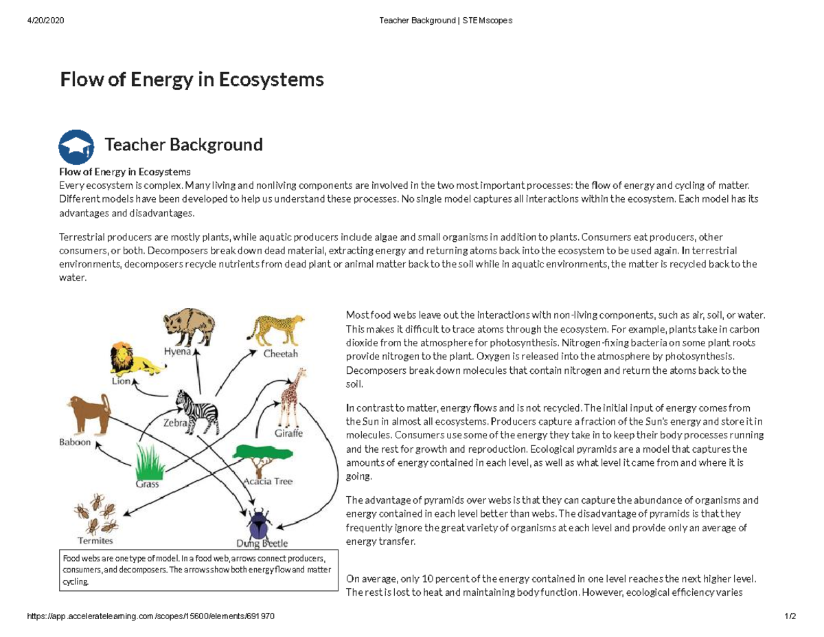 02 Flow of Energy in Ecosystems: Understanding Trophic Levels and ...