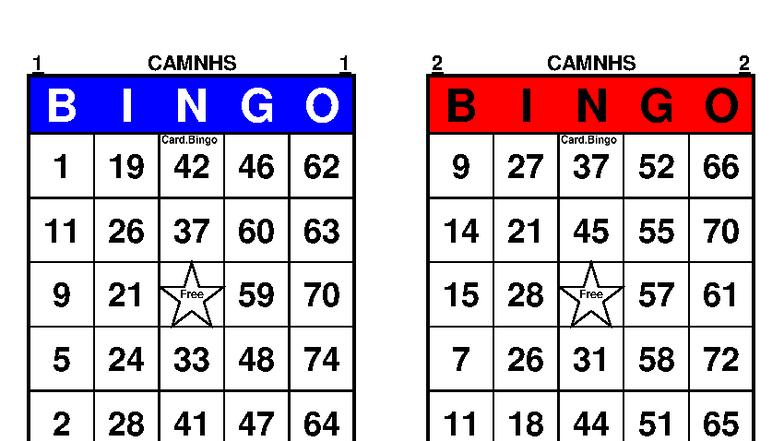 CAMNHS Bingo Game Instructions and Number Lists - Studocu