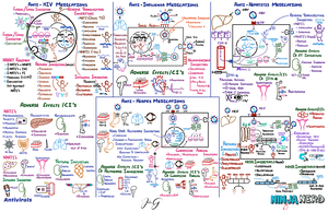 Module 9 ALQs-1 - alq 9 - Module 9 ALQs 1. Think about Photosynthesis ...