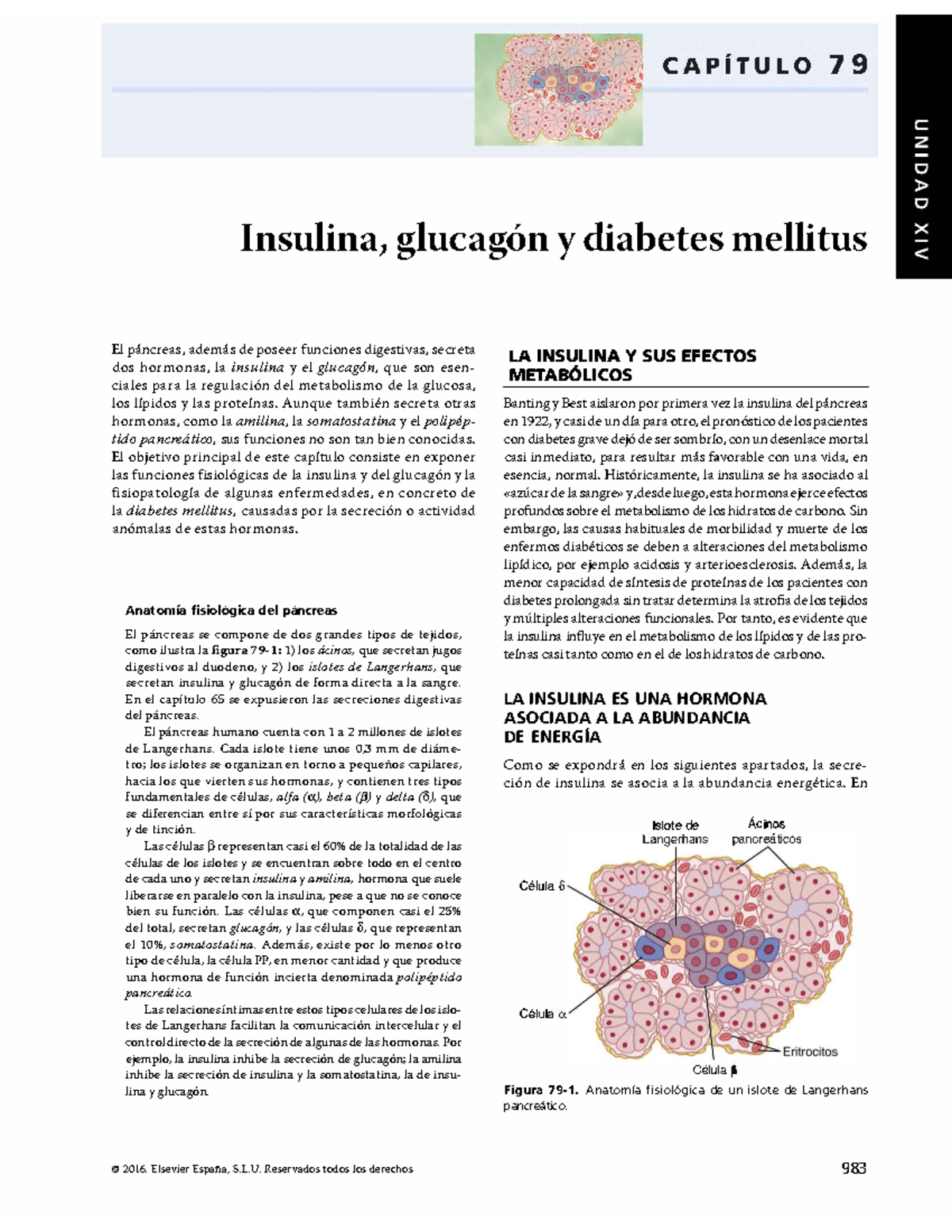 Guyton capítulo 79, resumen y capítulo completo. - Fisiología - USAC - Studocu