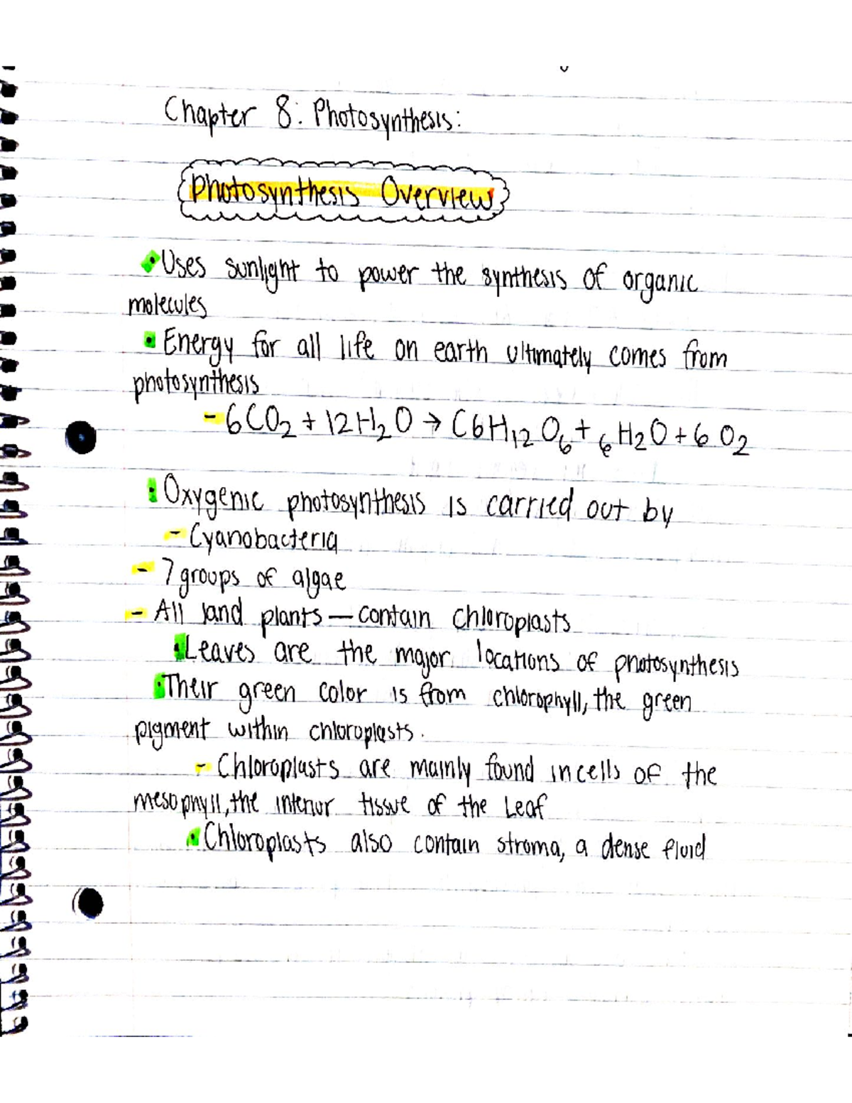 Bio 111: Chapter 8 - Photosynthesis Processes and Mechanisms - Studocu