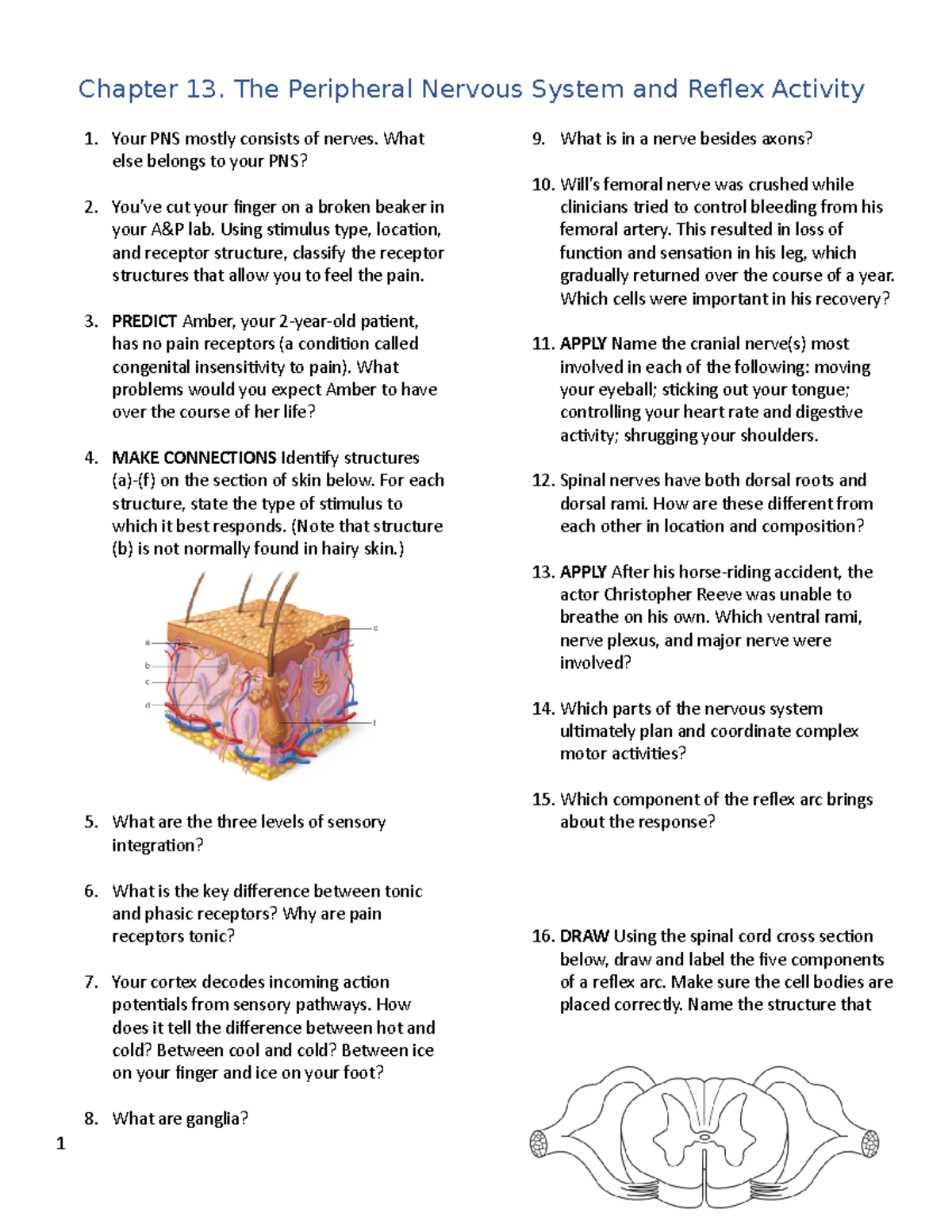 Chapter 13: Practice Questions on Peripheral Nervous System (PNS) - Studocu