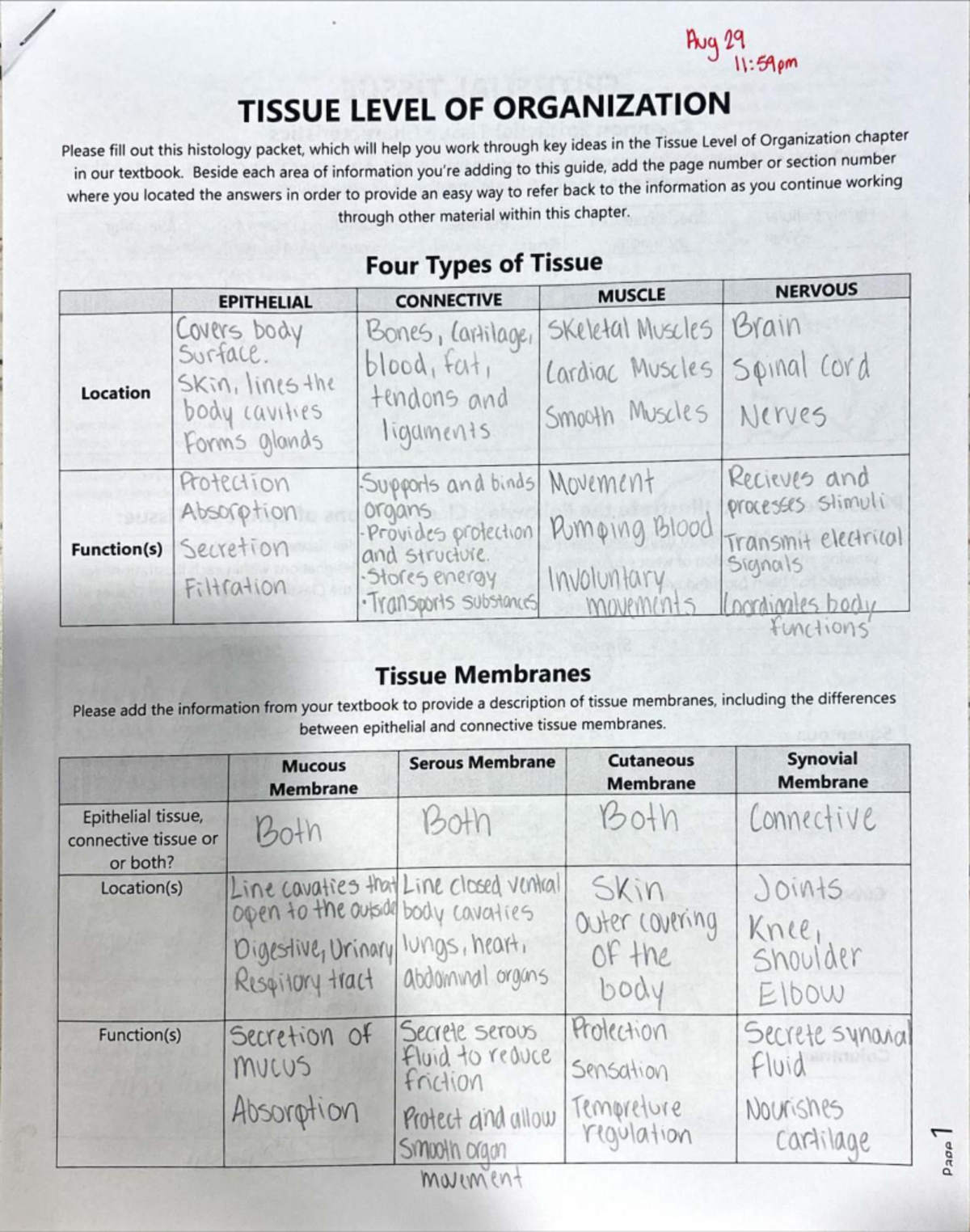 Final Exam Study Guide for Course XYZ: Tissue Level of Organization ...