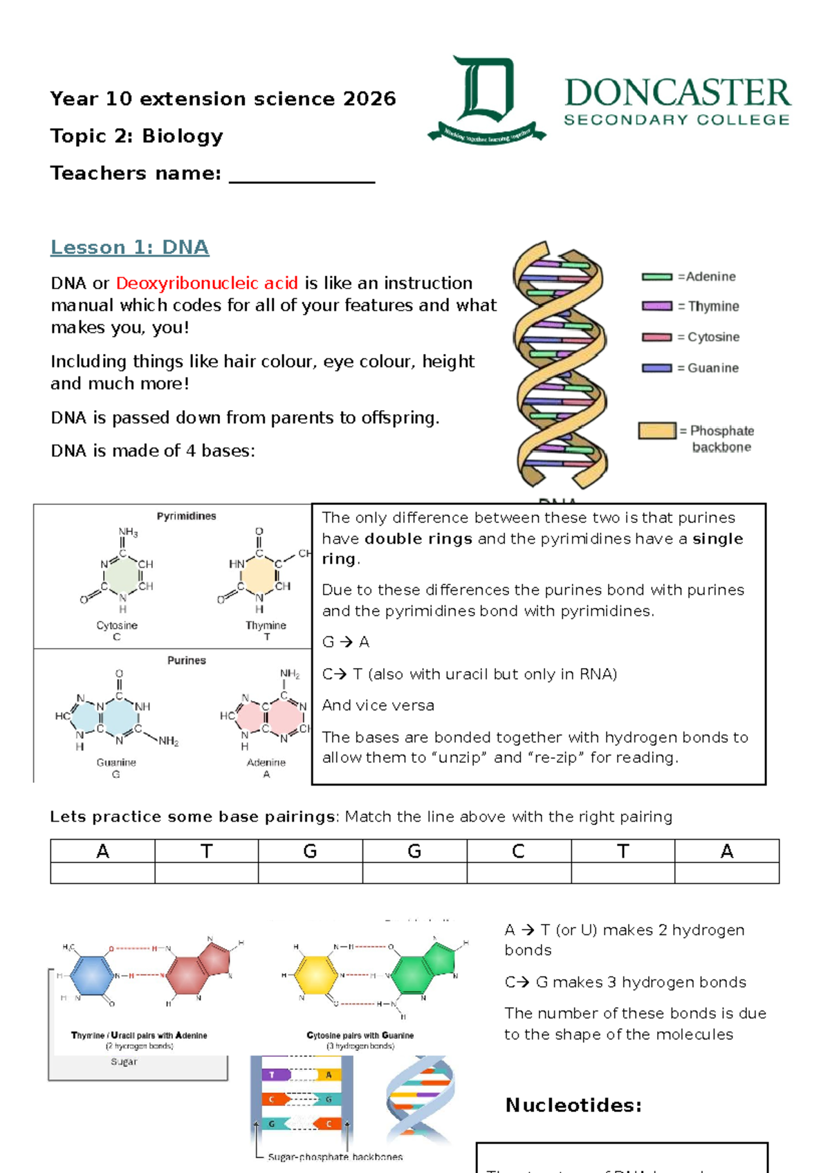 Year 10 Extension Science 2026: Lesson 1 - DNA Overview - Studocu