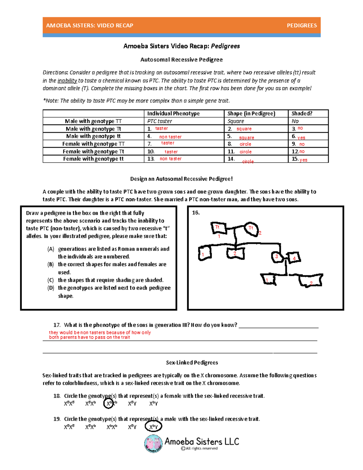 Amoeba Sisters: Video Recap on Pedigrees - Genetics Concepts Explained ...
