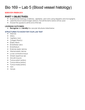 [Solved] ati basic concept sheet for pain management providing - Intro ...