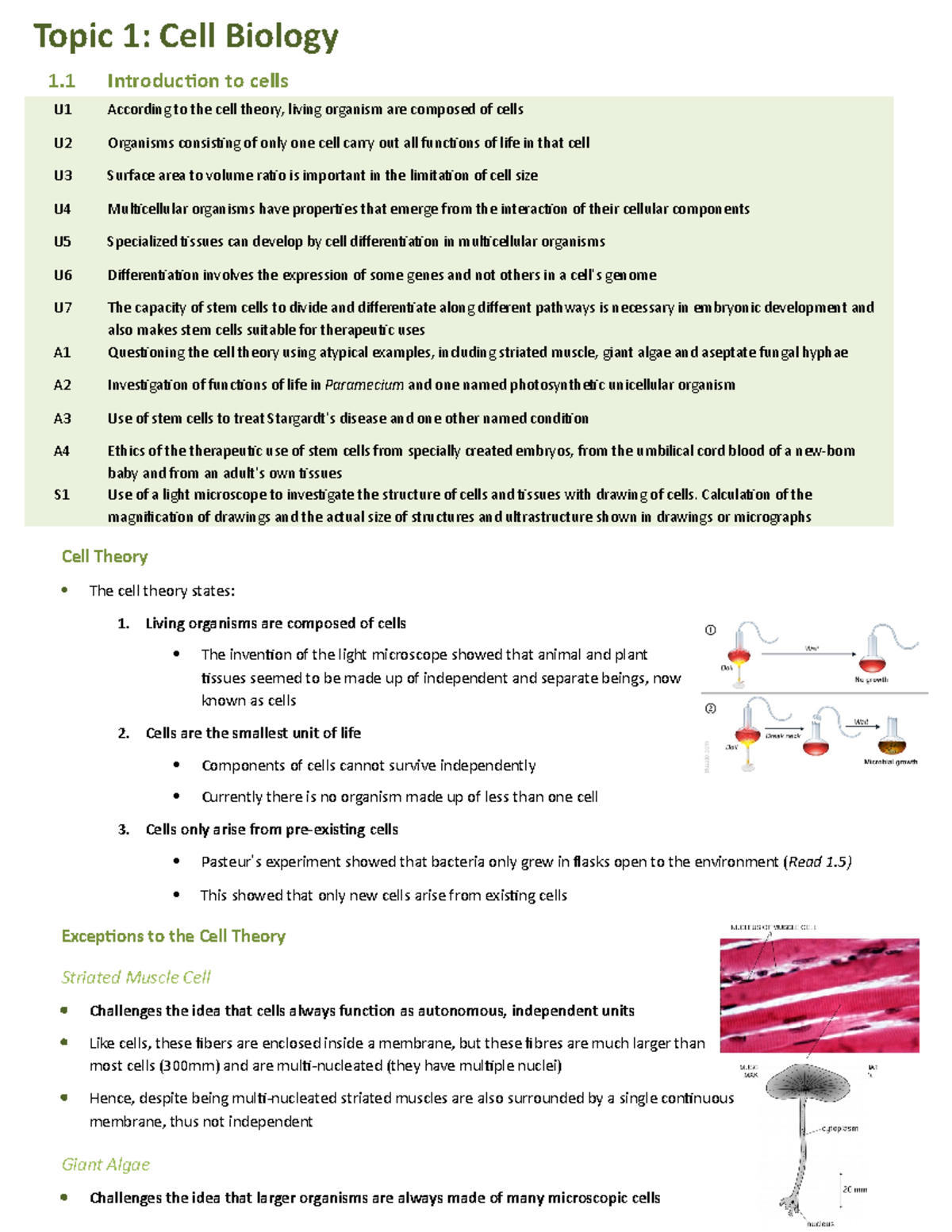 Cell Biology Notes: The Essential Guide to Cells and Their Functions ...