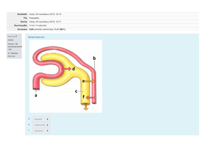 [Solved] Mit antidiureettinen hormoni ADH stelee Kysymys 28Valitse yksi ...