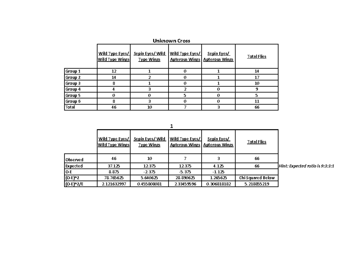 032-Collection Drosophila Data: Wild Type & Sepia Wing Analysis - Studocu