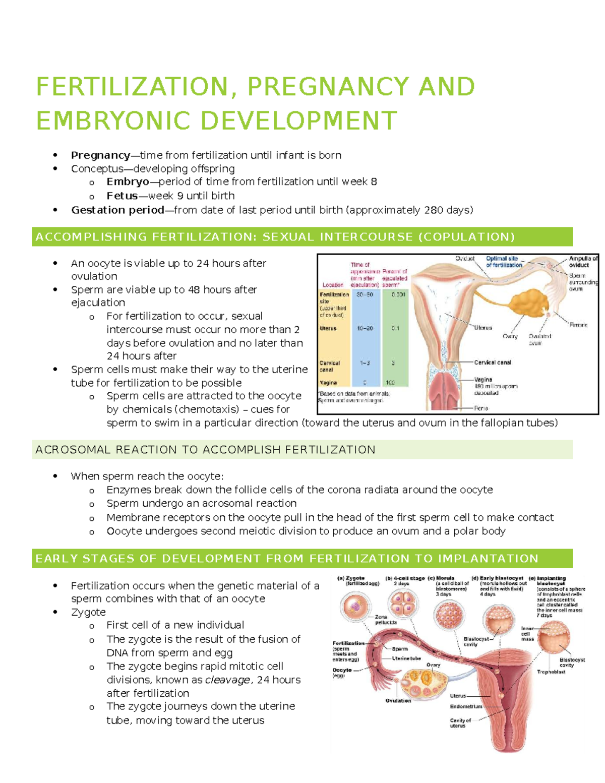 FERTILIZATION, PREGNANCY & EMBRYONIC DEV. (BIO 101) - Study Notes - Studocu