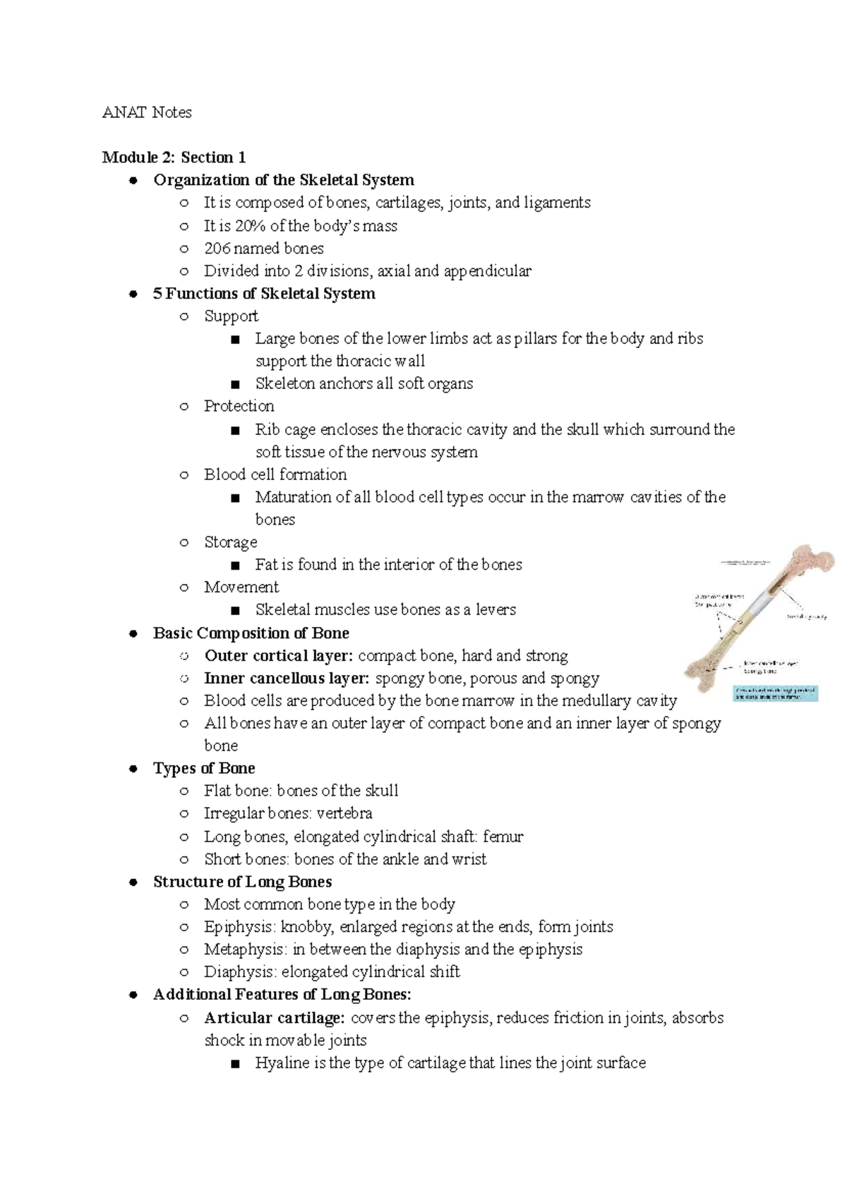 ANAT Notes: Module 2 - Organization of the Skeletal System - Studocu