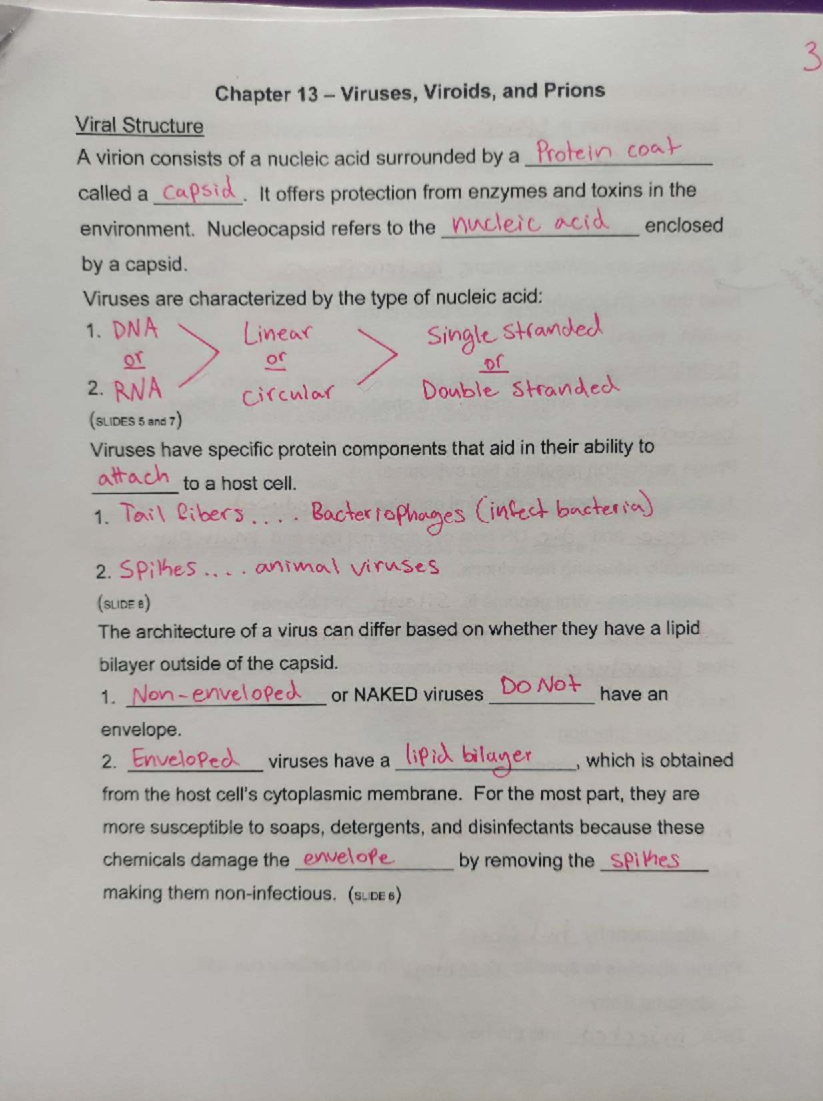 Final Exam Study Guide: Viruses, Viroids, and Prions (XYZ123) - Studocu