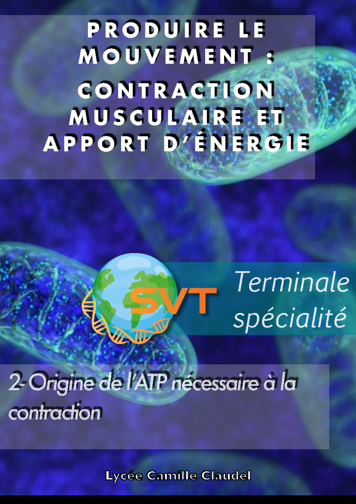 ATP: Origines, Métabolisme et Performances Musculaires - Terminale SVT ...