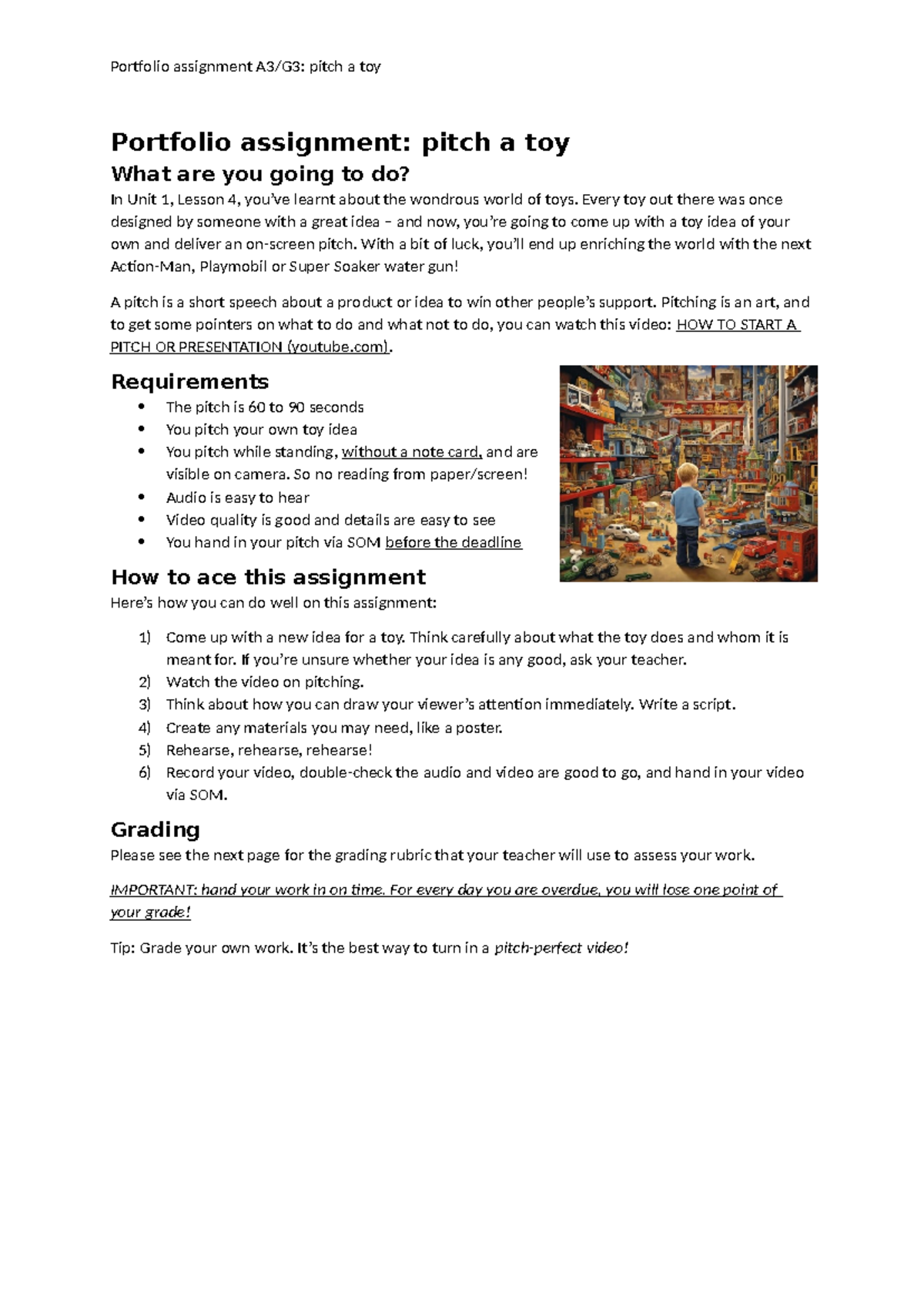 Portfolio Assignment A3/G3: Toy Pitch Guidelines and Tips - Studeersnel