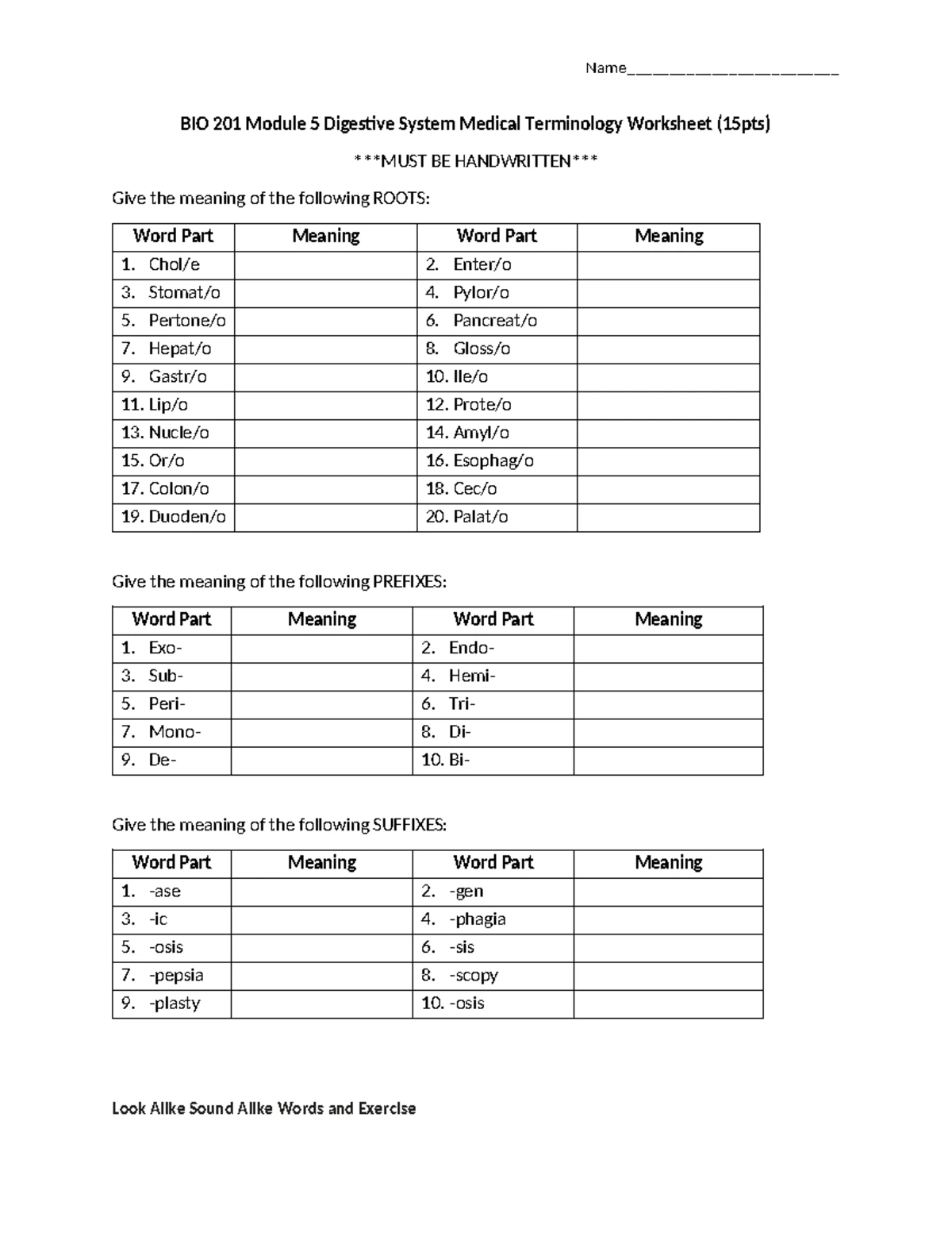 BIO 202 Module 5 Nervous System I Medical Terminology Notes - Studocu