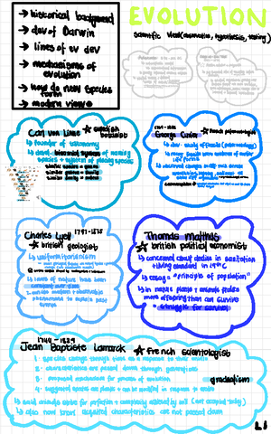 Evolution Essay Example Q&A: Natural Selection & Genetic Drift Insights ...