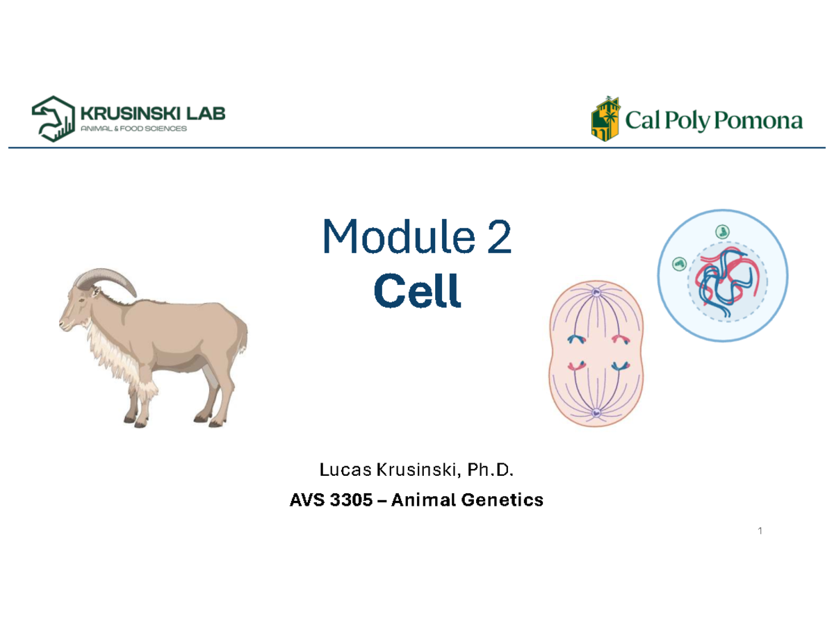 Module 2 - Cell Biology Overview: Structure, Function, and Division ...