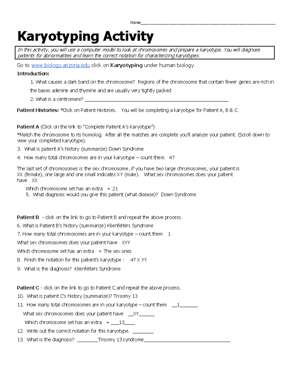 Karyotyping Activity for Diagnosing Chromosomal Abnormalities - Studocu