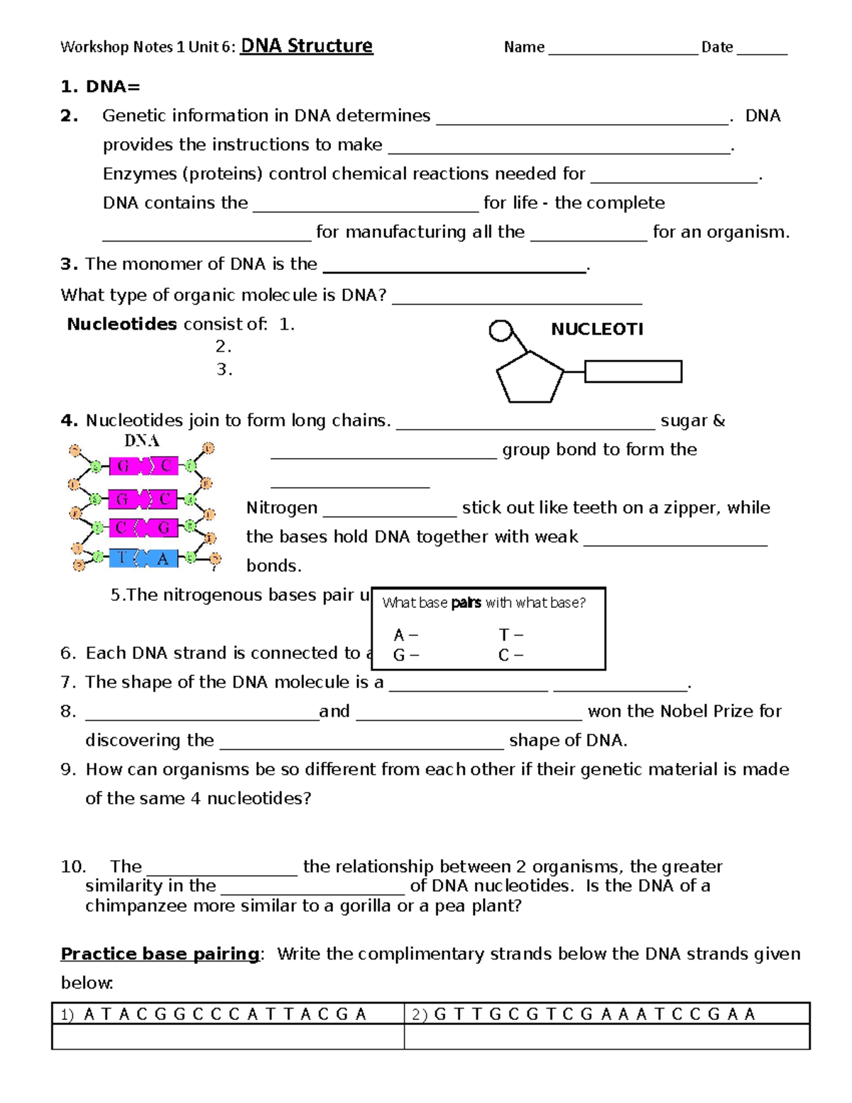 Dna structure guided notes - Studocu