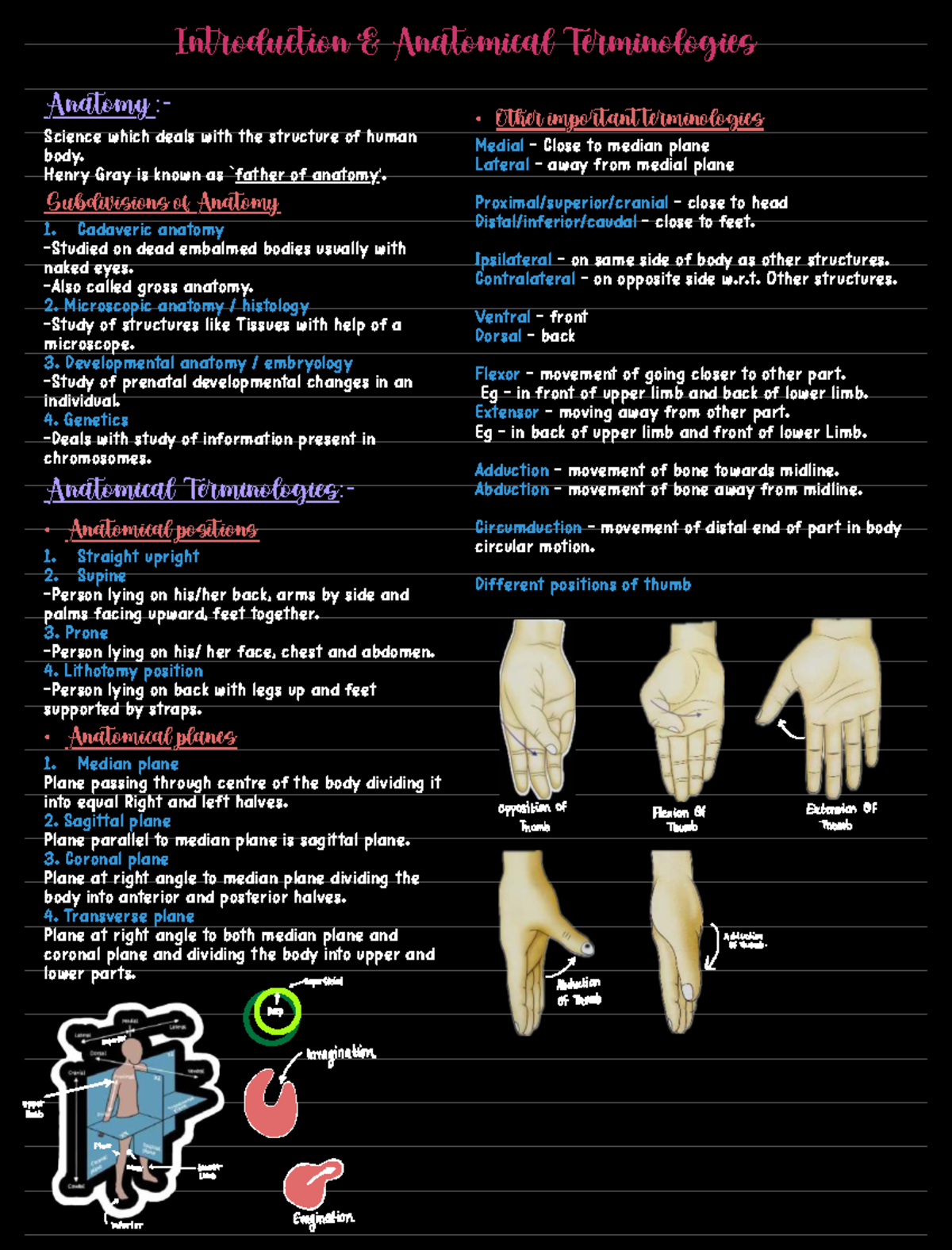 Anatomy: Introduction to Anatomical Terminologies - MMB 2 - Studocu