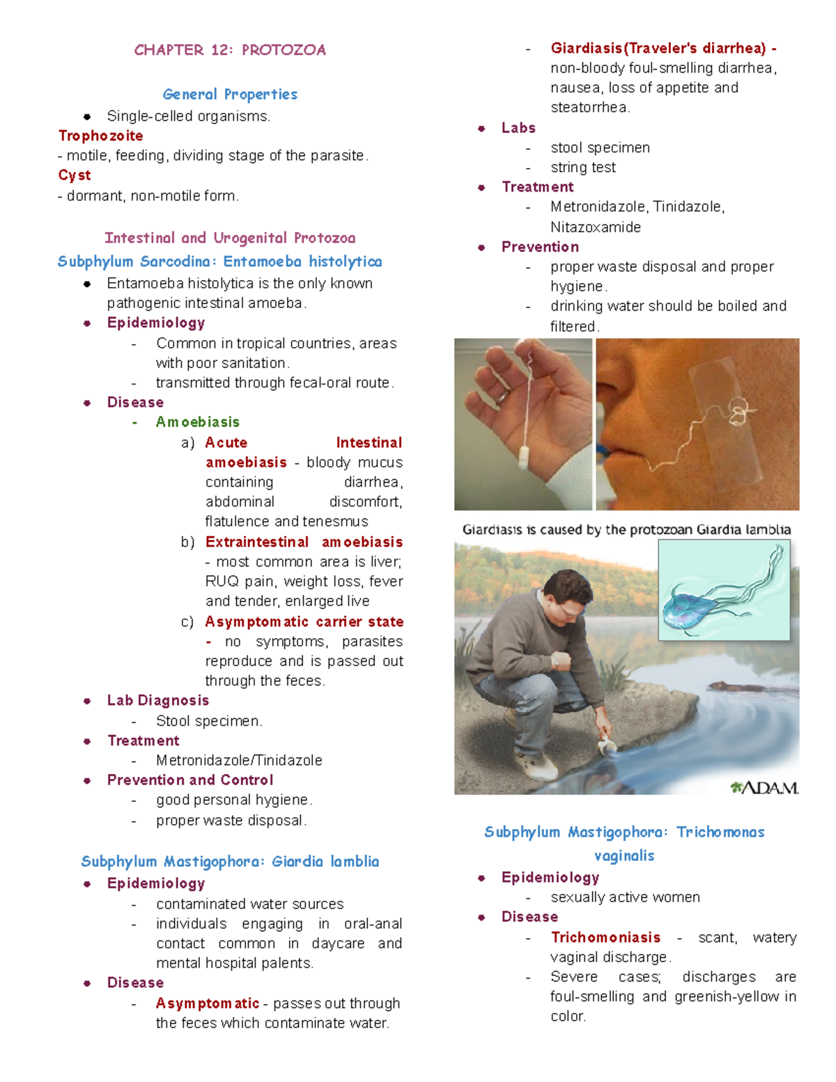 Micropara CH12: Overview of Protozoa and Related Diseases - Studocu