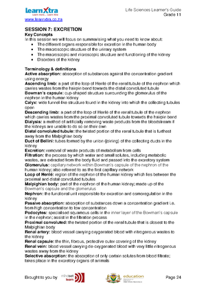 Grade 10 Life Sciences lesson 3 week (Skeleton – types, human skeleton ...