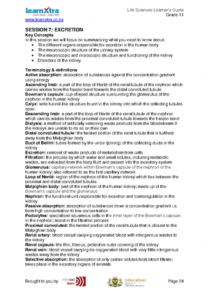 Grade 11 Poetry Analysis: "Random Notes to My Son" by Kgositsile - Studocu