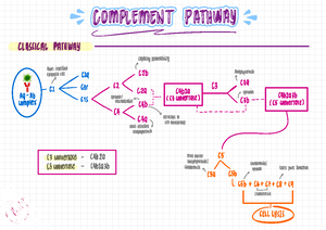 Ana Phy Activity#1 - Internal Organs in the Abdominal Quadrants and ...