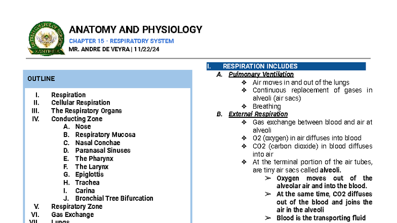 ANATOMY AND PHYSIOLOGY CHAPTER 15: RESPIRATORY SYSTEM NOTES - Studocu