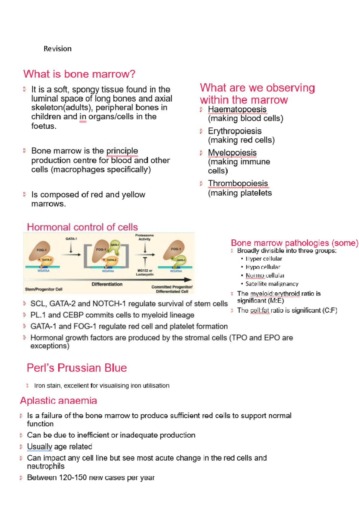 Revision - the - Revision Globin Chain Synthesis Sickle Solubility Test ...