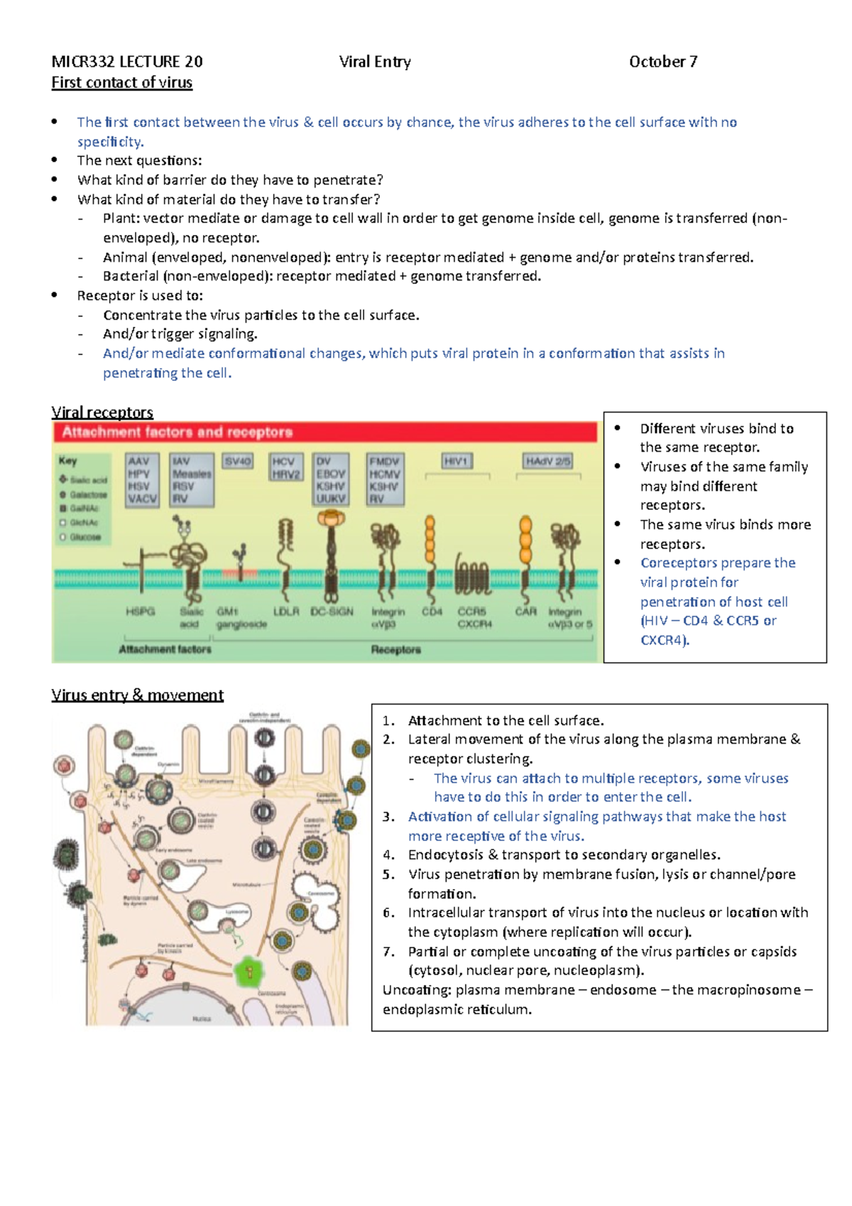 L20 - Lecture notes 20 - First contact of virus The first contact ...