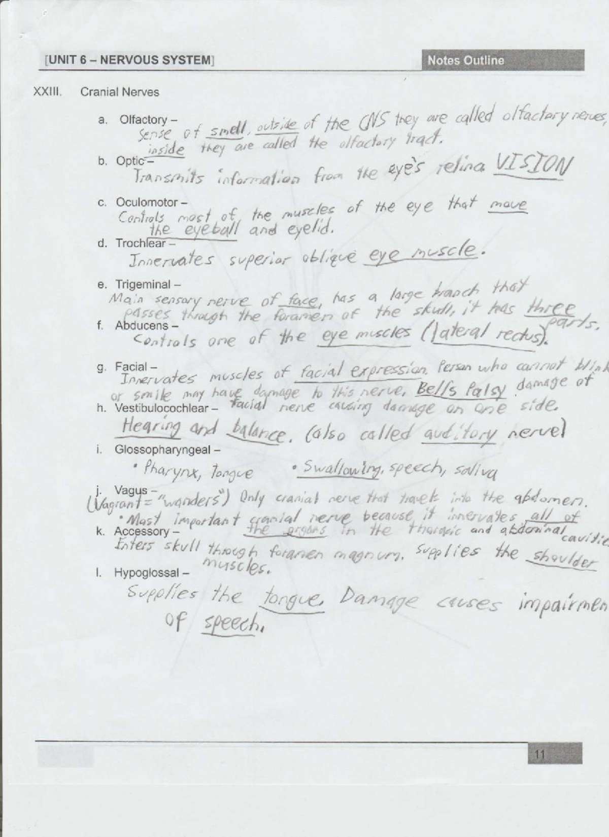 Nervous system notes: Outline of cranial nerves and their functions ...