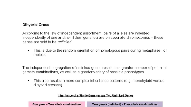 Y12 Dihybrid Cross: Understanding Independent Assortment and Gamete ...