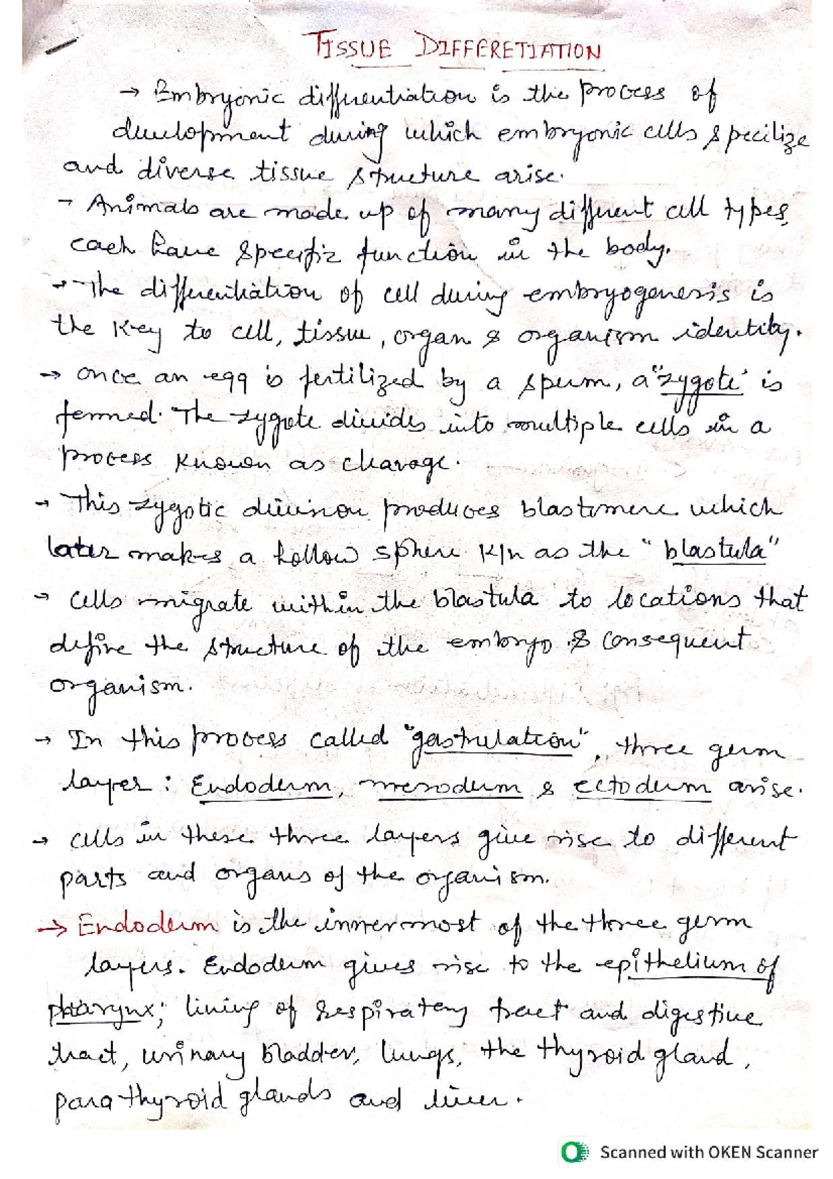 TISSUE DIFFERENTIATION & STEM CELL STUDY NOTES - Studocu