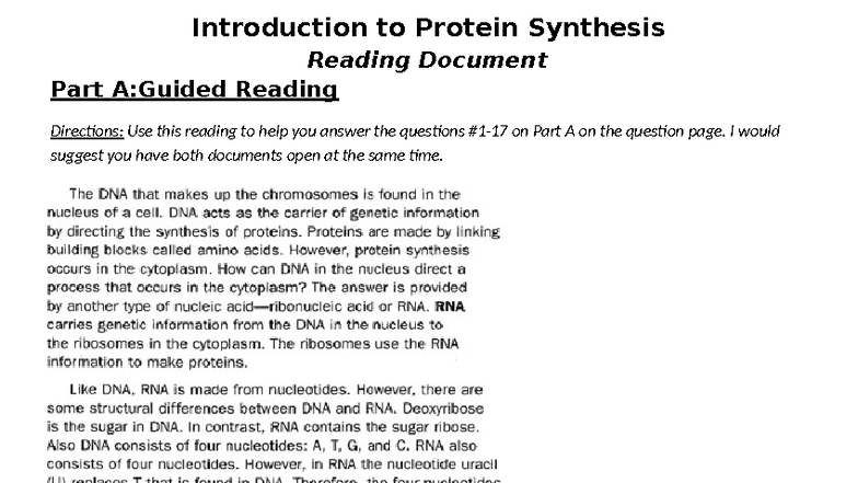 Protein Synthesis: Guided Reading Part A Instructions - Studocu