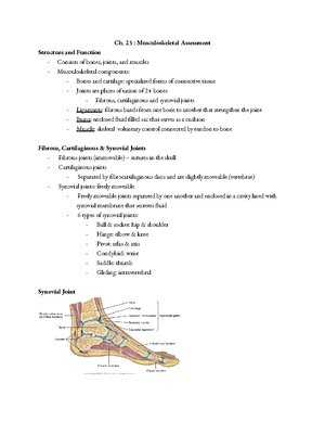 Thorax Lungs Practice Q - Chapter 19: Thorax and Lungs MULTIPLE CHOICE ...