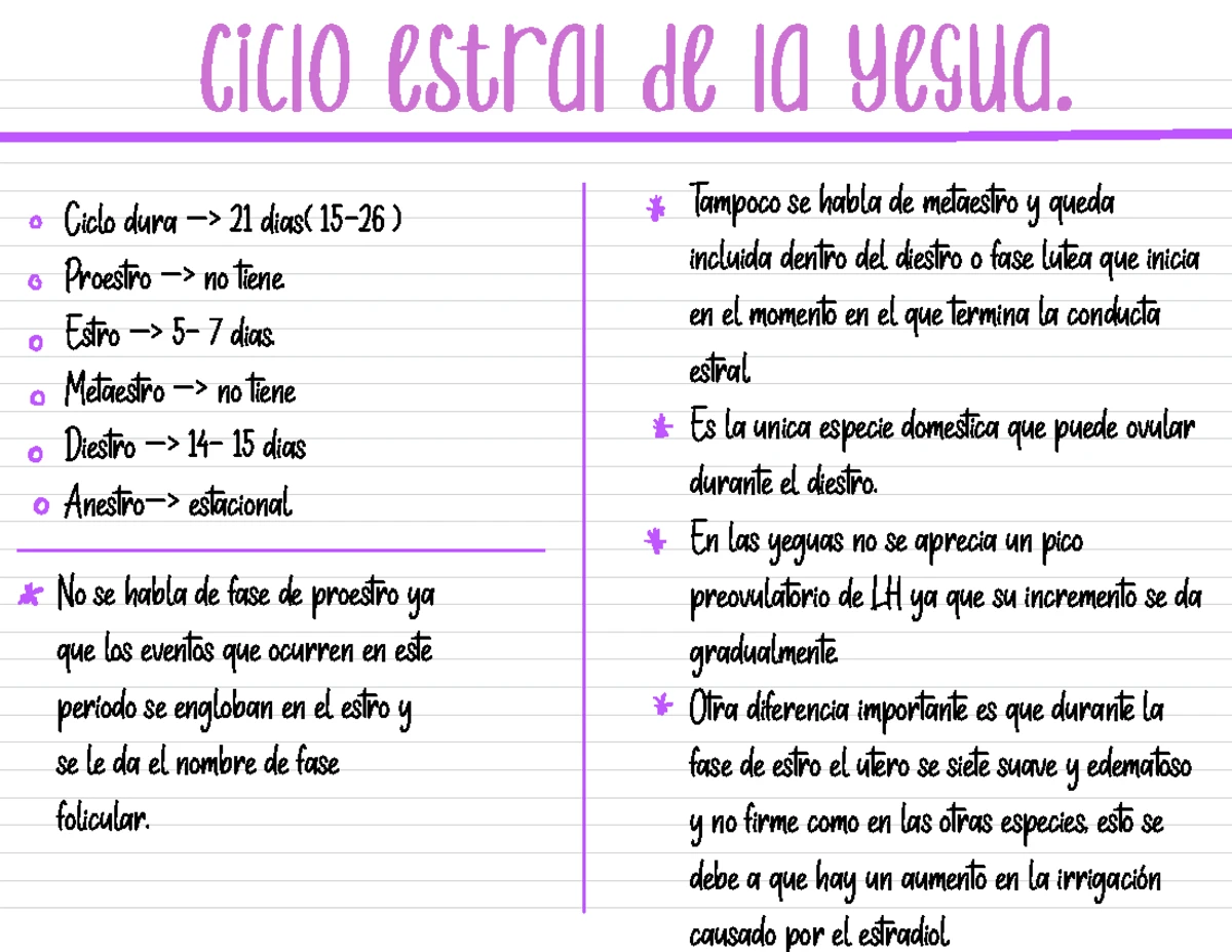 Muerte somatica - La muerte es el cese irreversible de funciones ...