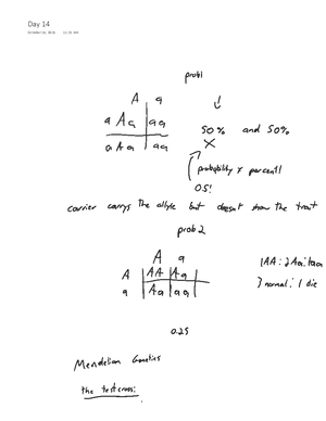 Lab 6 - Genetics Fly Lab - lab 6 - GENETICS: SIMULATING EXPERIMENTAL ...