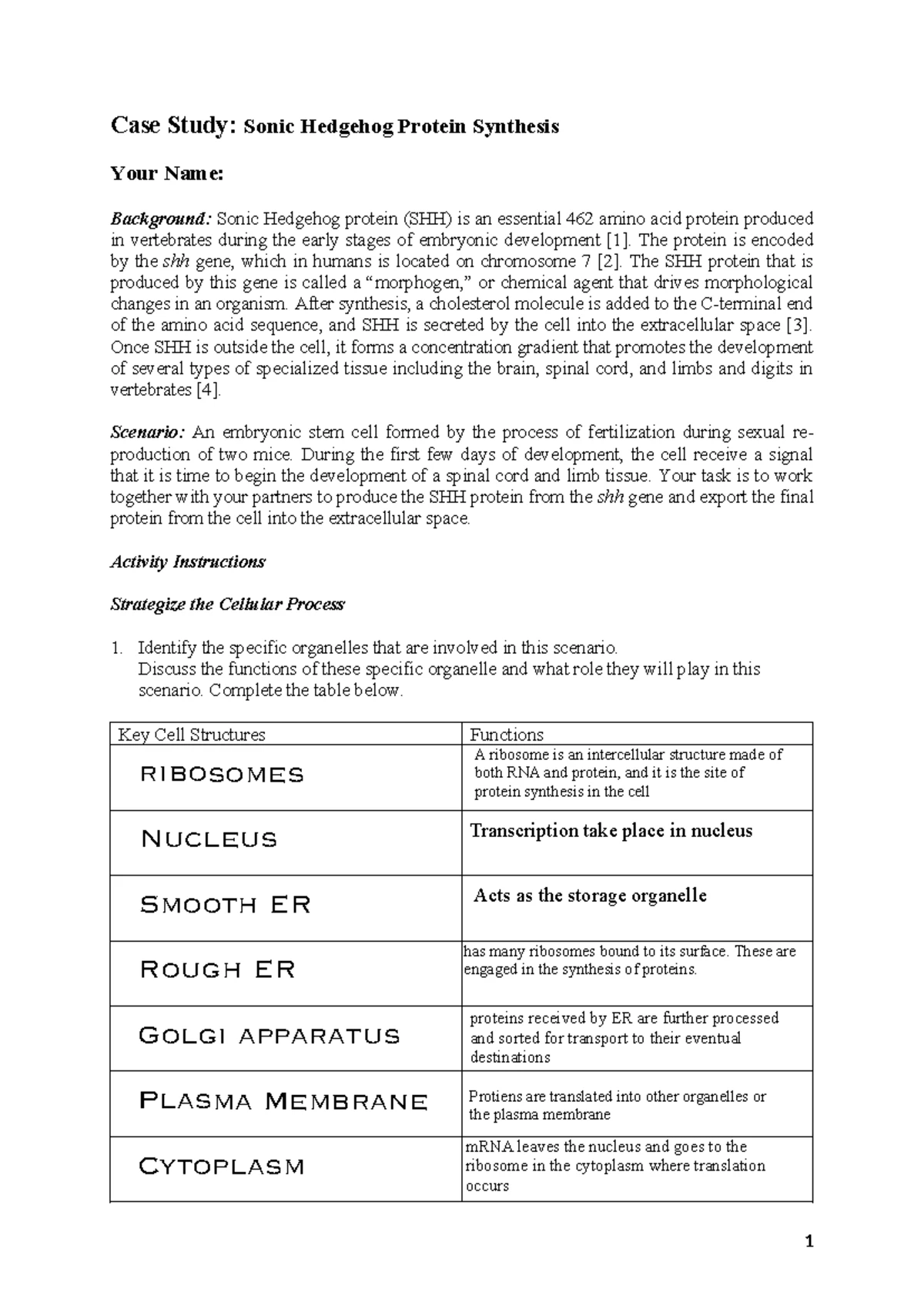 Cell biology chapter 13 - Chapter 13 - How Cells Obtain Energy from ...