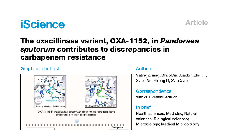 iScience 28, 112311: Role of Oxacillinase in Carbapenem Resistance of ...