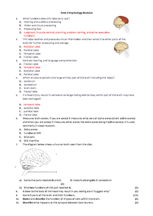 Psychology - Grade: 11 - Queensland Certificate of Education - Studocu