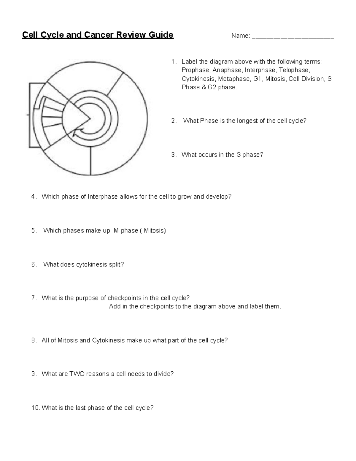 Cell Cycle & Cancer Review Guide: Key Concepts & Questions - Studocu