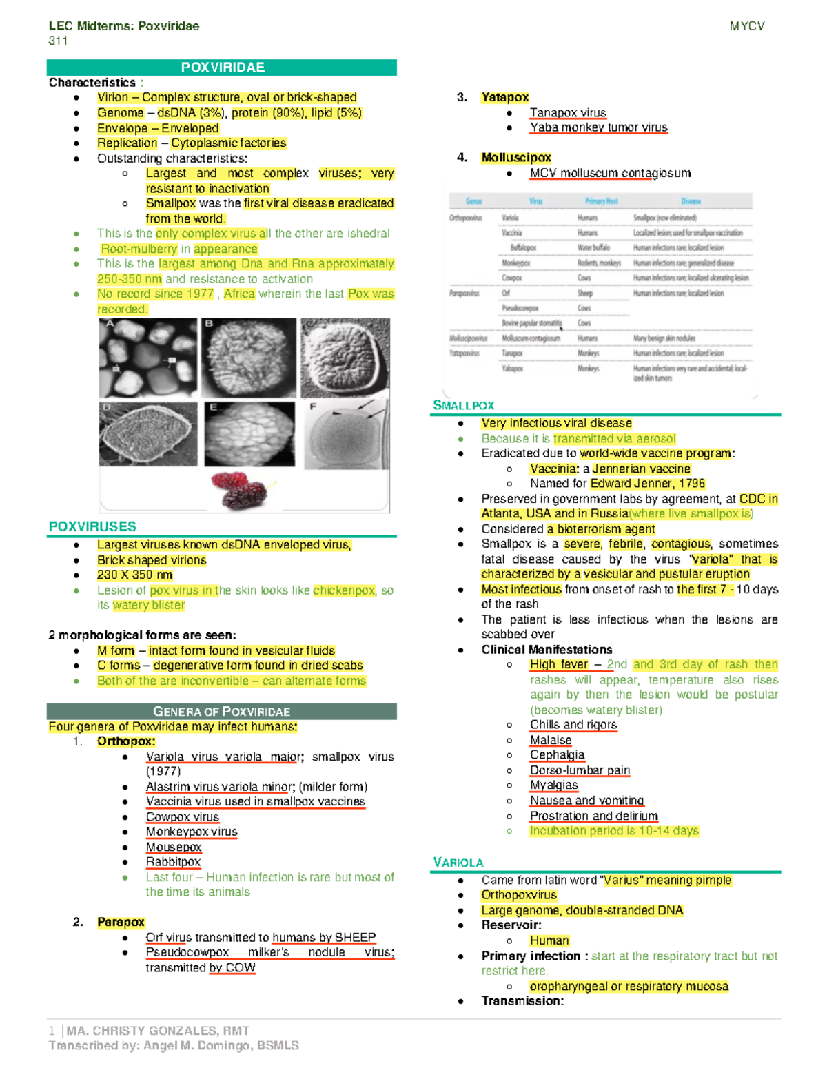 Poxviridae Overview: Characteristics, Classification & Smallpox ...