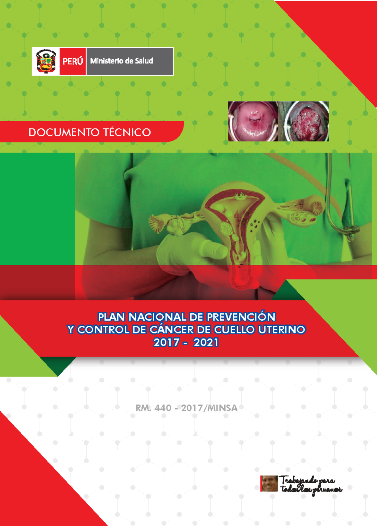 Plan Nacional de Prevención y Control del Cáncer de Cuello Uterino 2017 ...