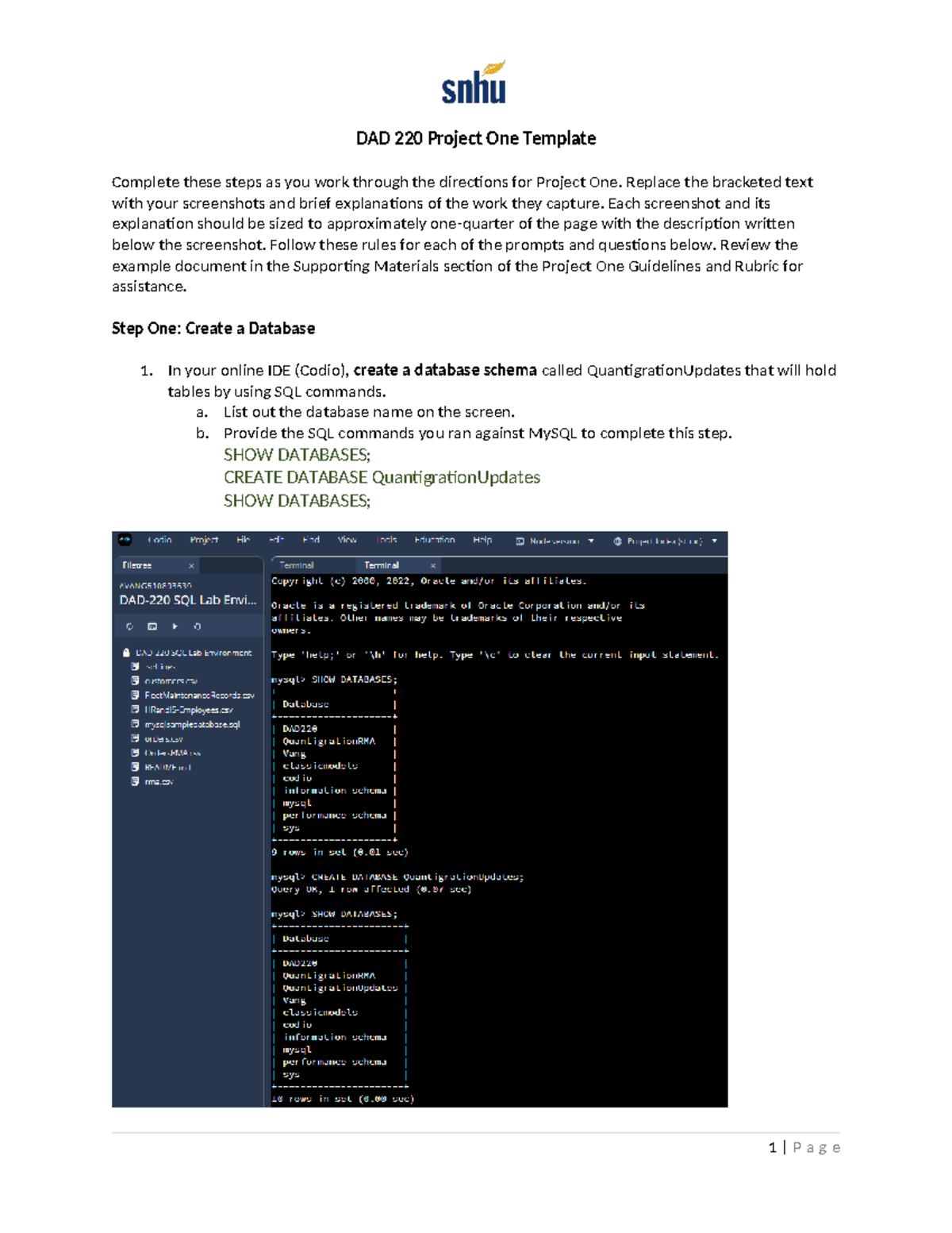 DAD 220 Project One: Database Creation and Data Management Guide - Studocu