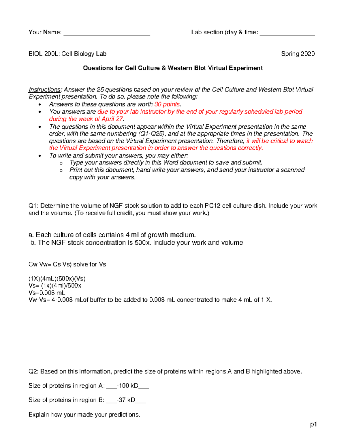 Question Worksheet for Cell Culture and Western Blot Virtual Experiment ...
