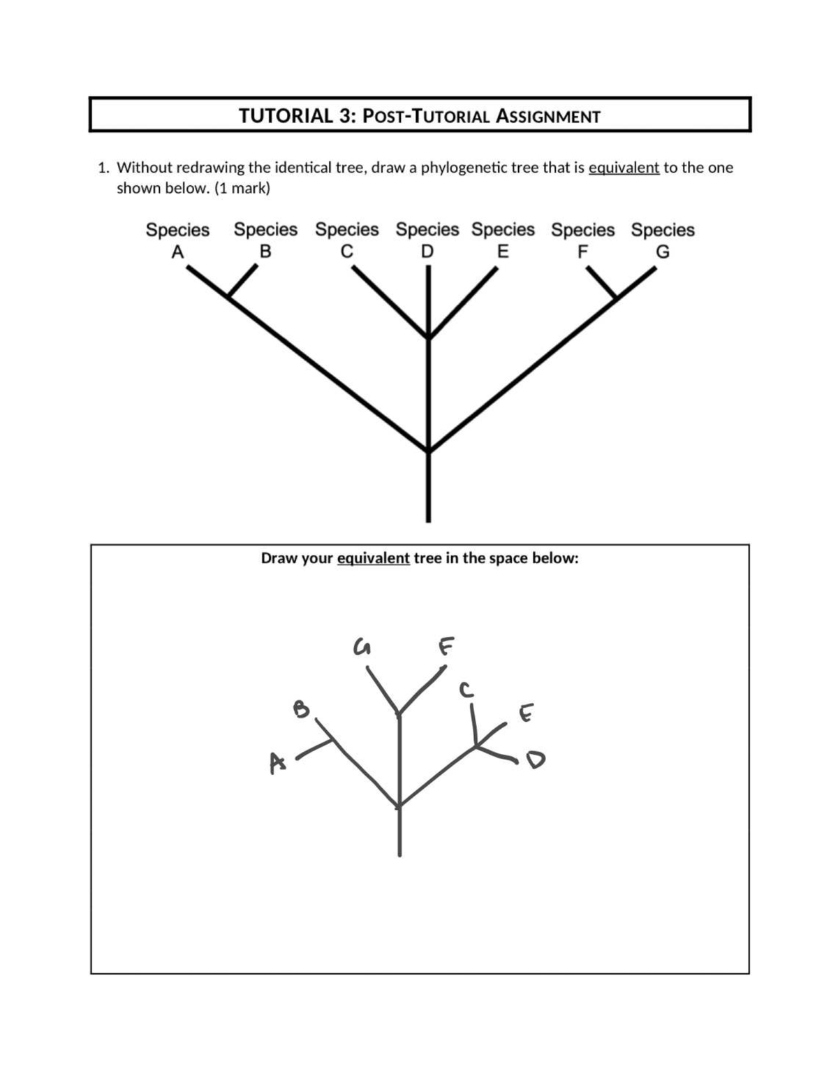 Post Tutorial Assignment 3: Phylogenetic Tree Analysis - Studocu