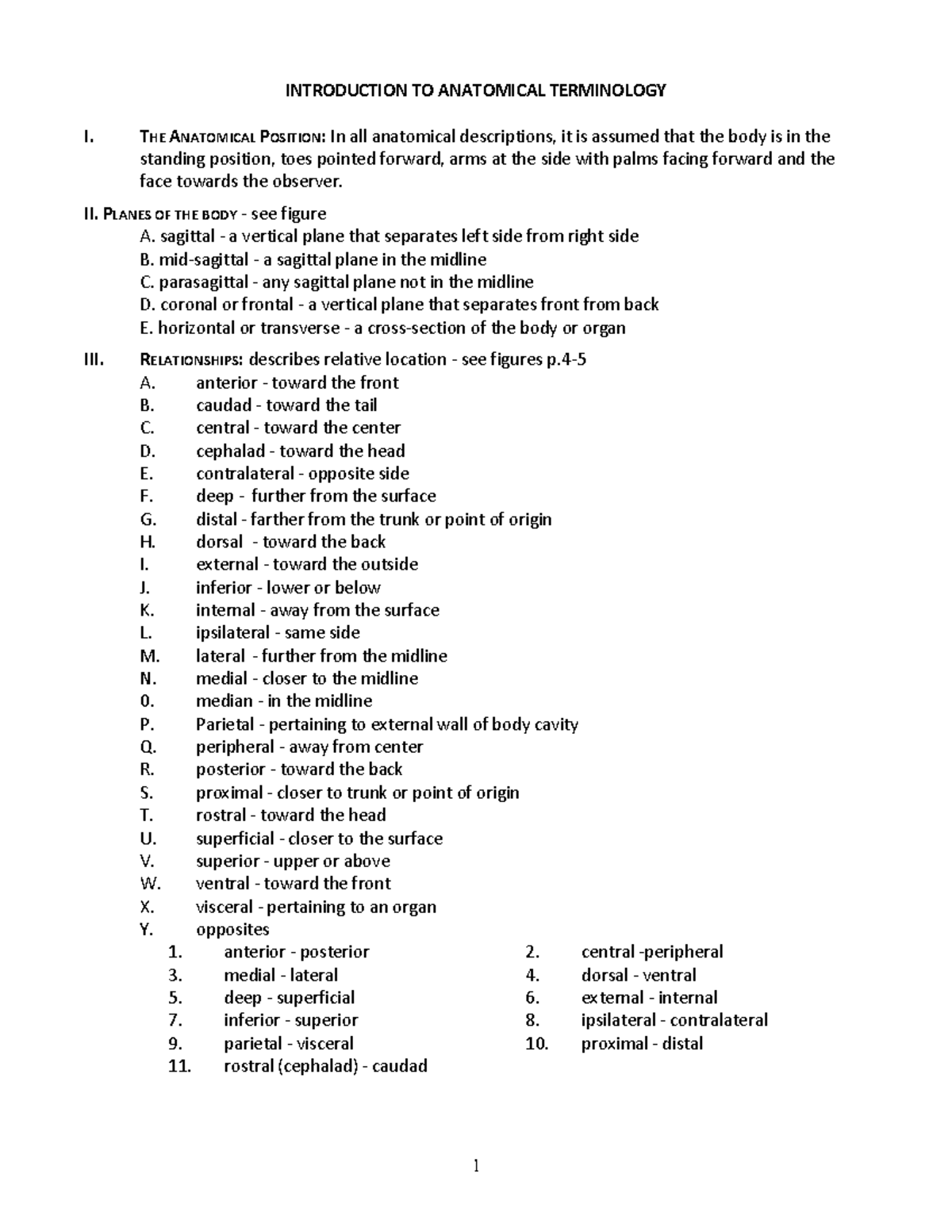 Anatomical Terminology: Understanding Positions and Movements - Studocu