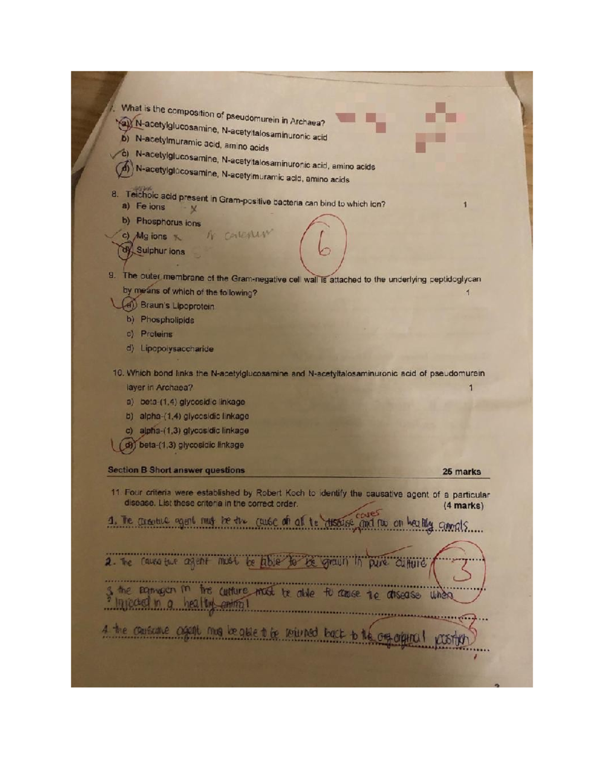 Microbiology Questions (BIO 216) - Practical Exam Review - Studocu